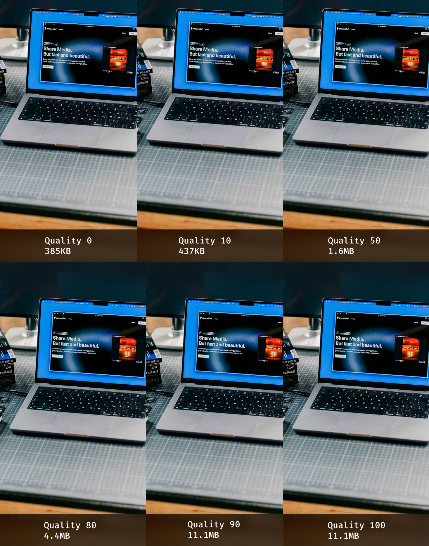 What Format to Send Photos to Clients: The Ultimate Guide | Framebird